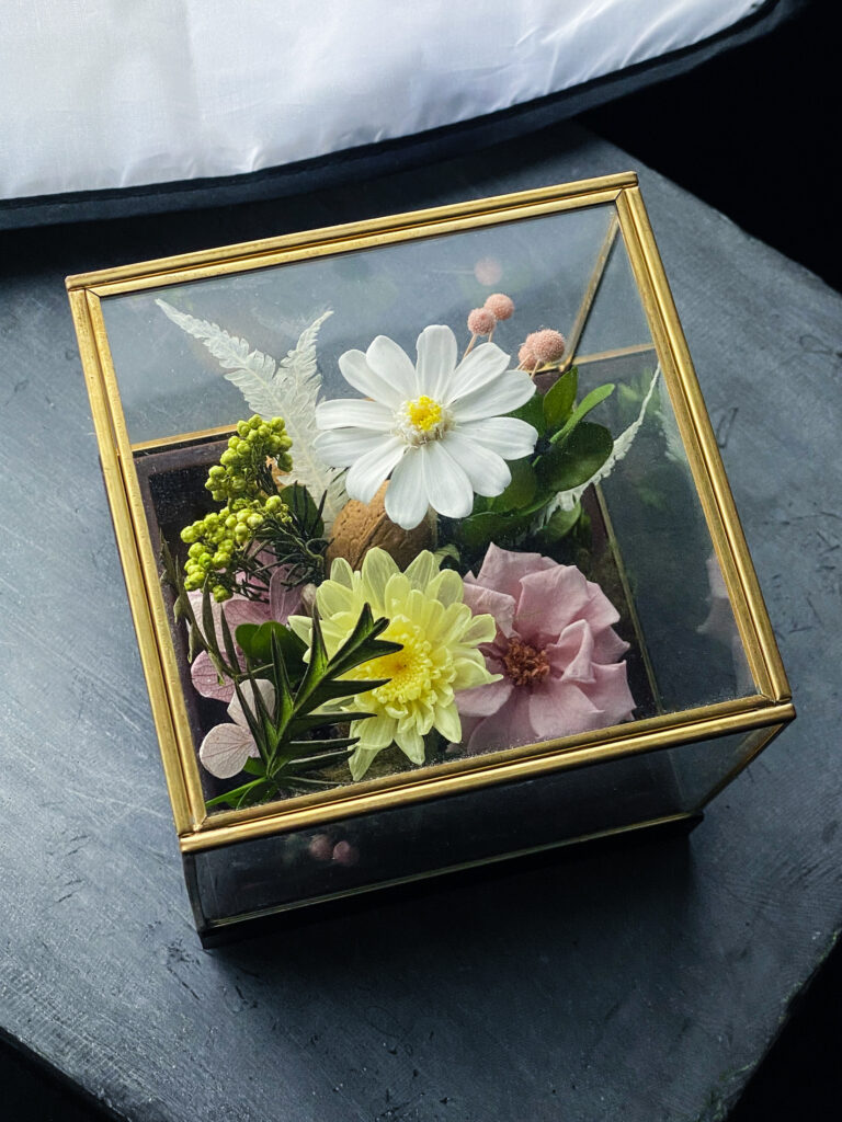 Uinuvad lilled: klaasist lillekarp 'DAISY CUBE' | DecoRento Pood