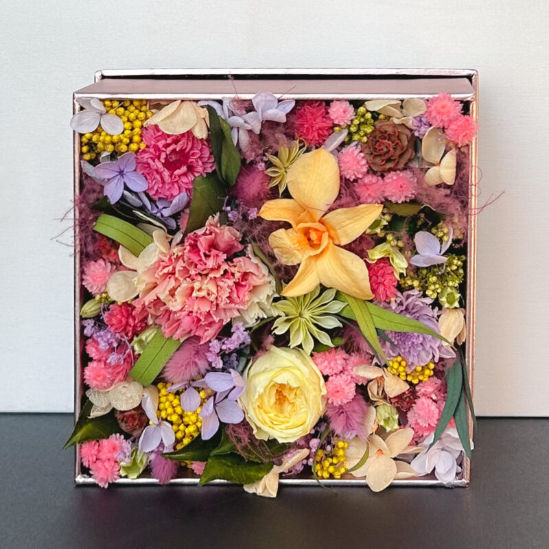 Uinuvad lilled: Lillekarp 'RIO' | DecoRento Pood